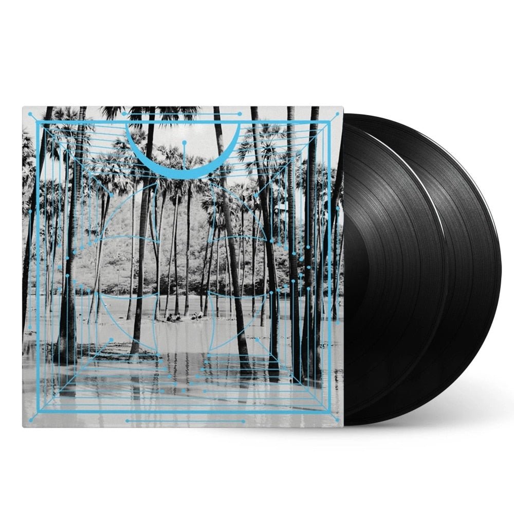Four Tet - Pink - Four Tet - Reissue Vinyl 2LP - The Vinyl Store 2LP