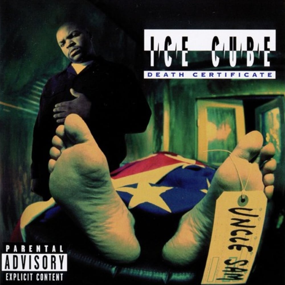 Ice Cube - Death Certificate LP – The Vinyl Store