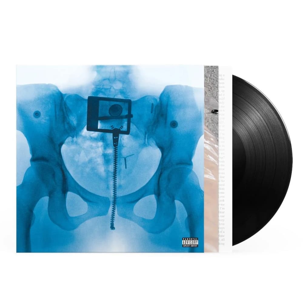 Lorde - Virgin LP – The Vinyl Store