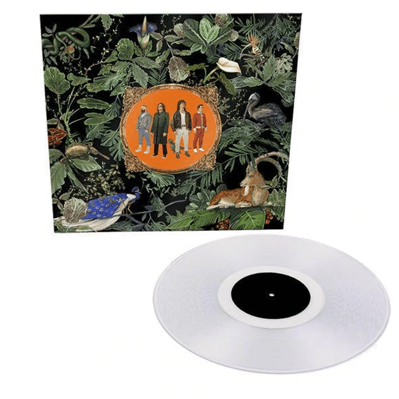 Don Broco - Amazing Things LP – The Vinyl Store